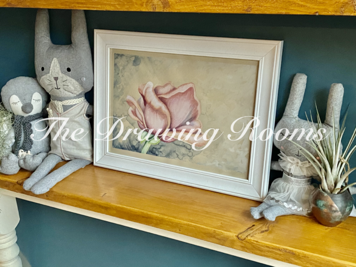 Soft Rose - The Drawing Rooms